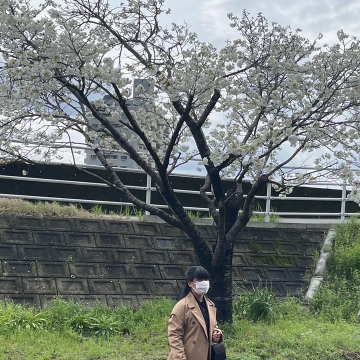 🦄 @nicole_07157 - okadanicole8 - TikTok