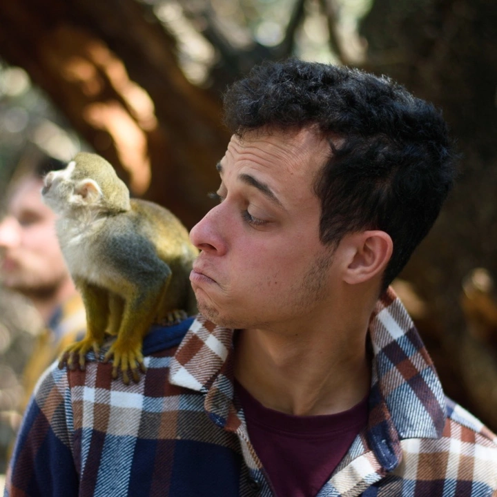 Ava- @stackinbarbie TikTok 分析|プロフィール、動画、ハッシュタグ | Exolyt