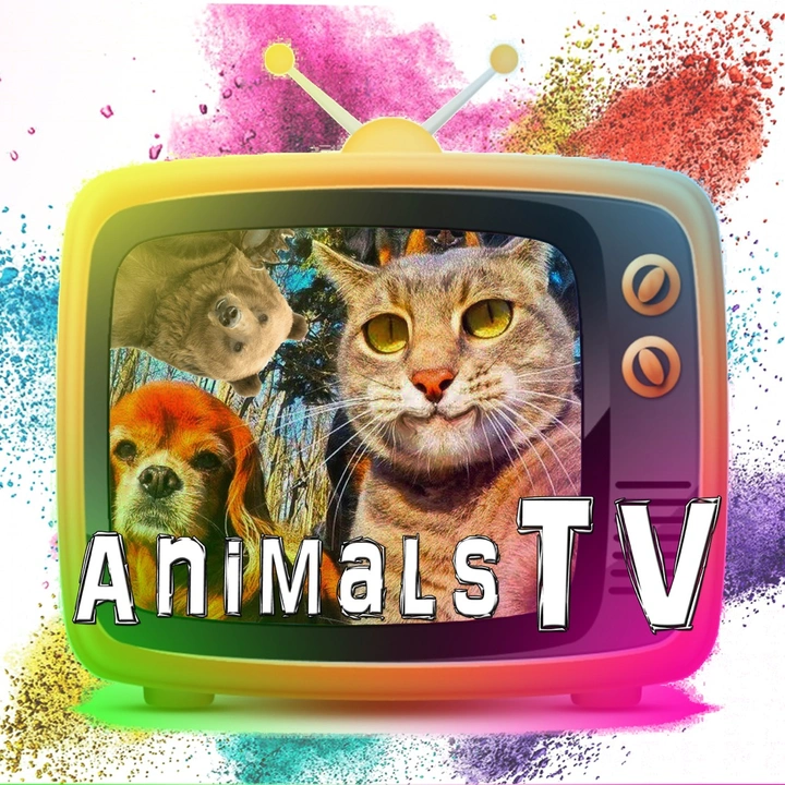 Animals_TV_2021 - @animals_tv_2021 TikTok Analytics | Profile, videos ...
