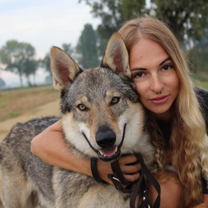 Sveva🐺ANIMAL INSTINCT - @svevagelfi TikTok Analytics | Profile, videos ...