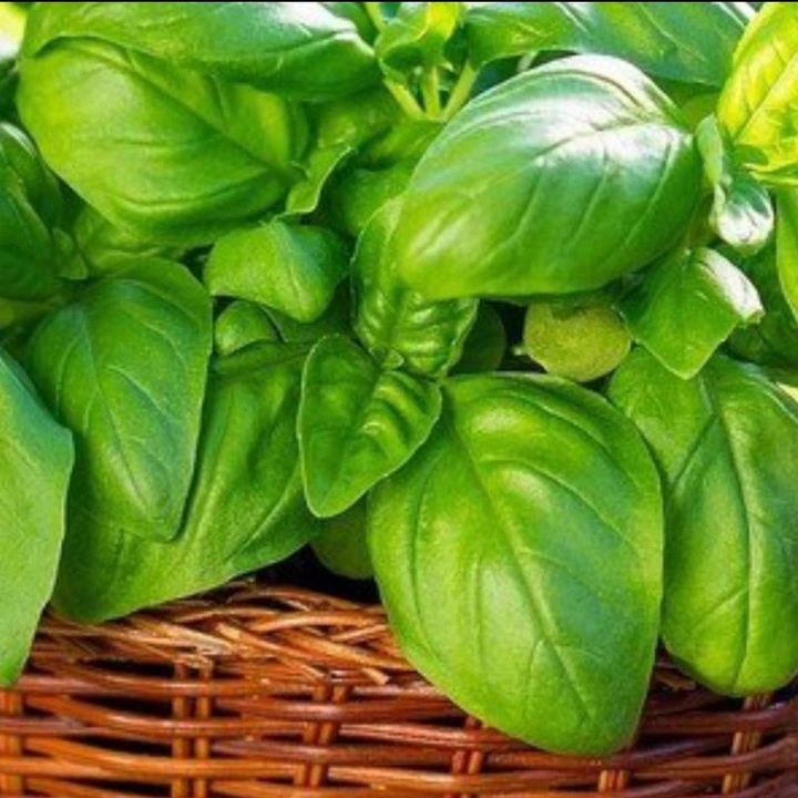 Zero's food 🥘🇦🇿 - @zerish.cooks TikTok Analytics | Profile, videos ...