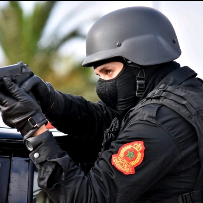 🦄 @moroccan_intelligence - Moroccan_intelligence - TikTok