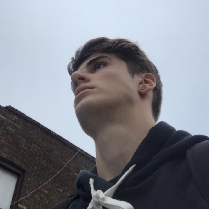 Mladen Ruzic - @mladenruzic TikTok Analytics | Profile, videos ...